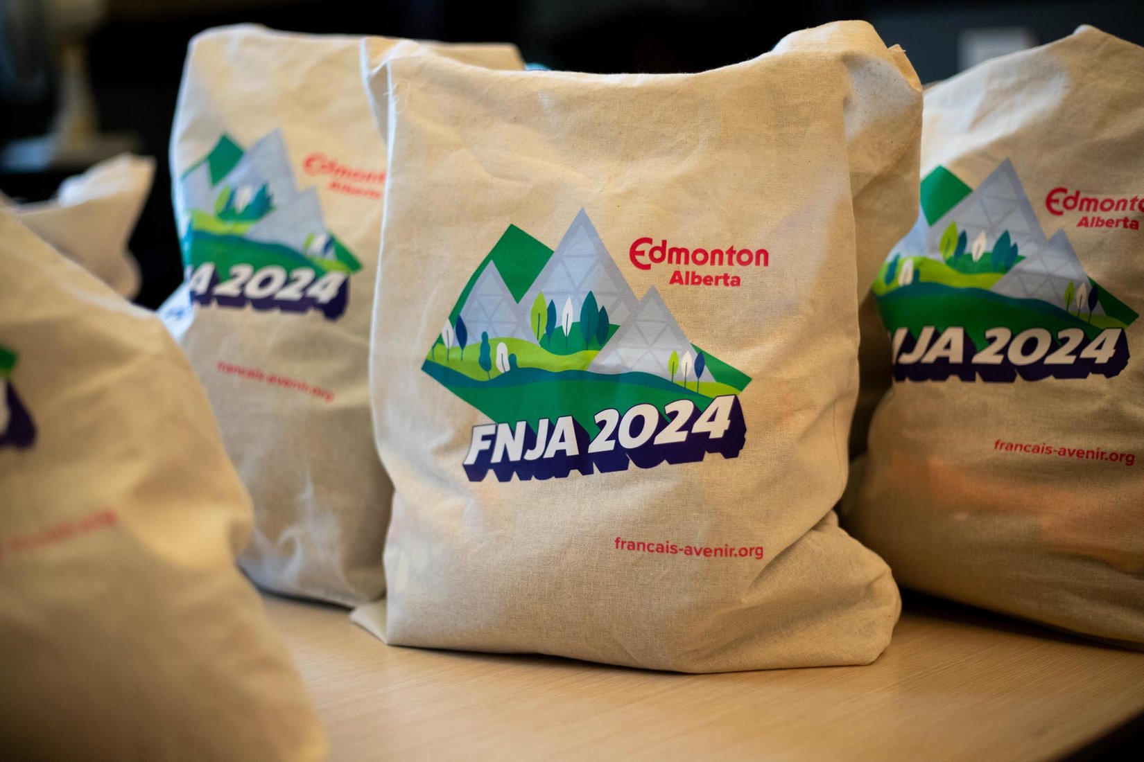 FNJA - The National Ambassador Youth Forum - Free